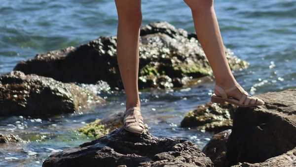 Дачники обожают этот цветок за неприхотливость